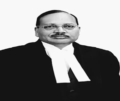 न्यायमूर्ती सूर्यकांत पुढील सरन्यायाधीशपदी, 24 नोव्हेंबर रोजी पदभार ...