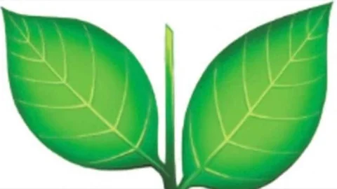 ஈபிஎஸ் தொடுத்த இரட்டை இலை வழக்கு.. சுப்ரீம் கோர்ட் முக்கிய உத்தரவு ...