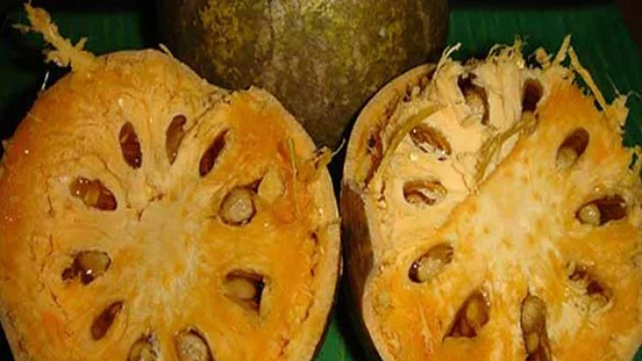 बेल : गर्मी में देगा ठंडक का एहसास, जानें 7 लाभ - bael fruit | Webdunia ...